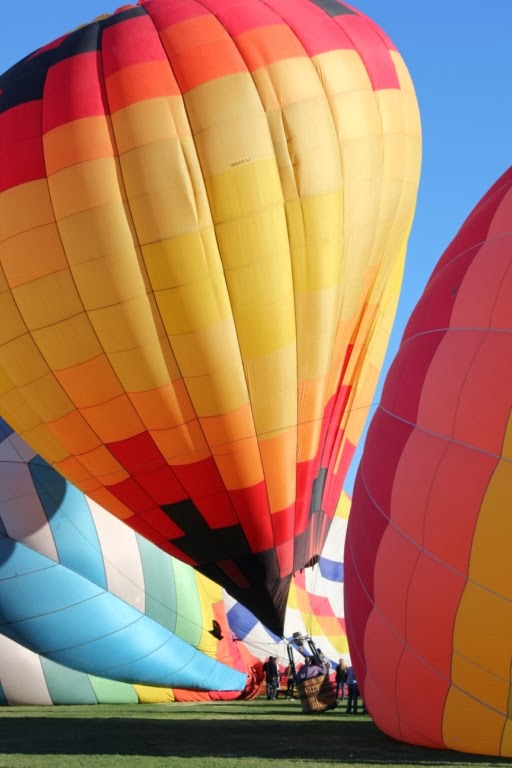 A testy bastard, at times.: Pahrump Nevada Hot Air Balloon Festival